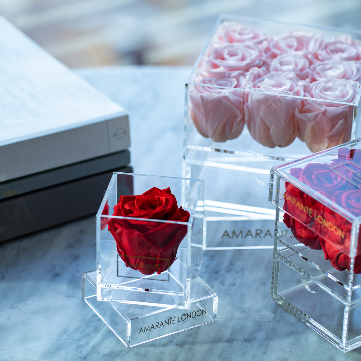 The Best True Friend Rose Selection to Gift a Friend in Your Life ...