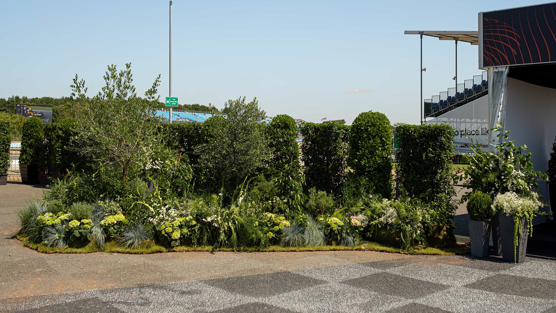 Formula 1 Event Plant Hire - Amarante London