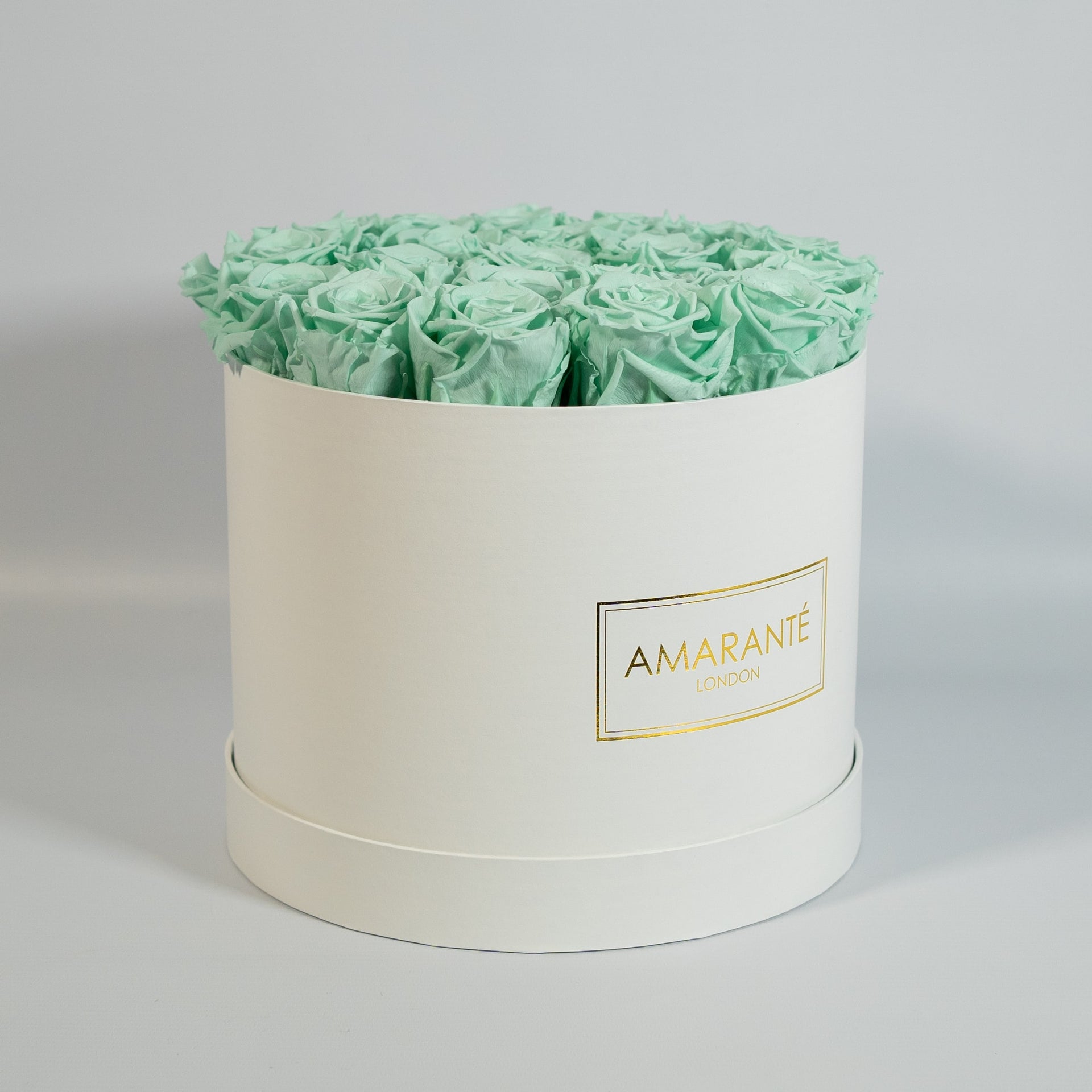 Preserved Flowers > Infinity Roses > White Round Large Matte Rose Box ...