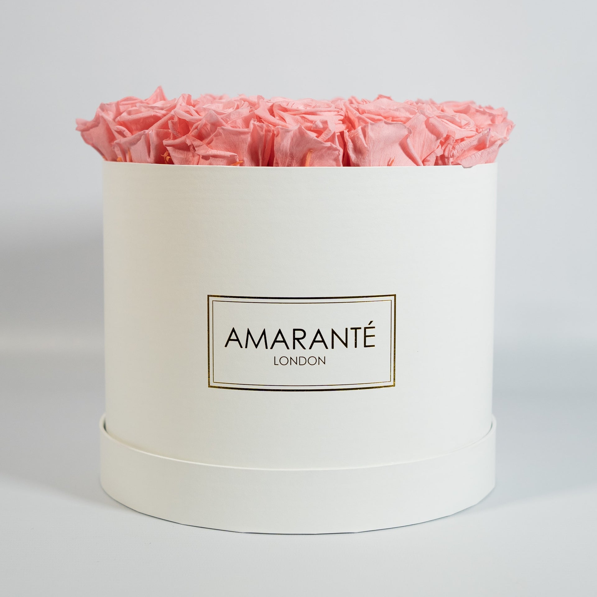 Preserved Flowers > Infinity Roses > White Round Large Matte Rose Box ...