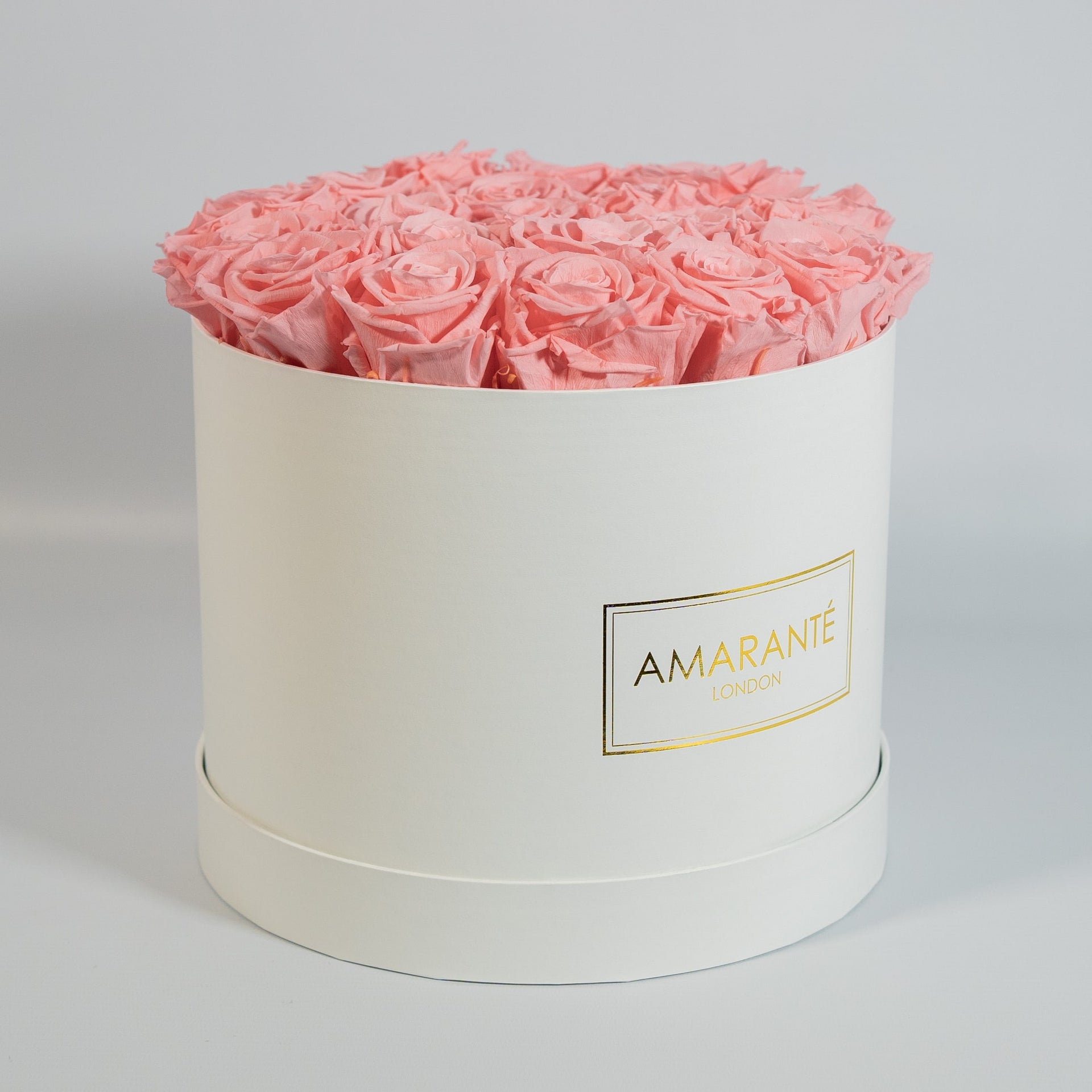 Preserved Flowers > Infinity Roses > White Round Large Matte Rose Box ...