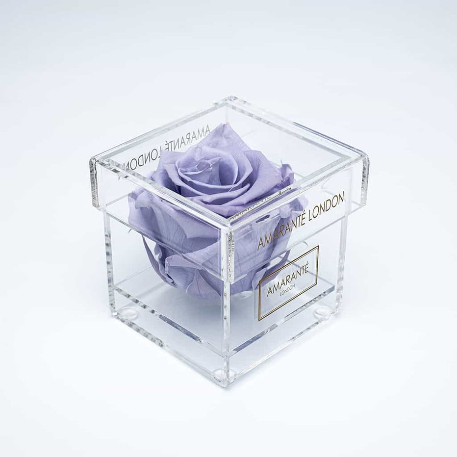 Single Infinity Rose in Elegant Transparent Acrylic Box - Amarante London