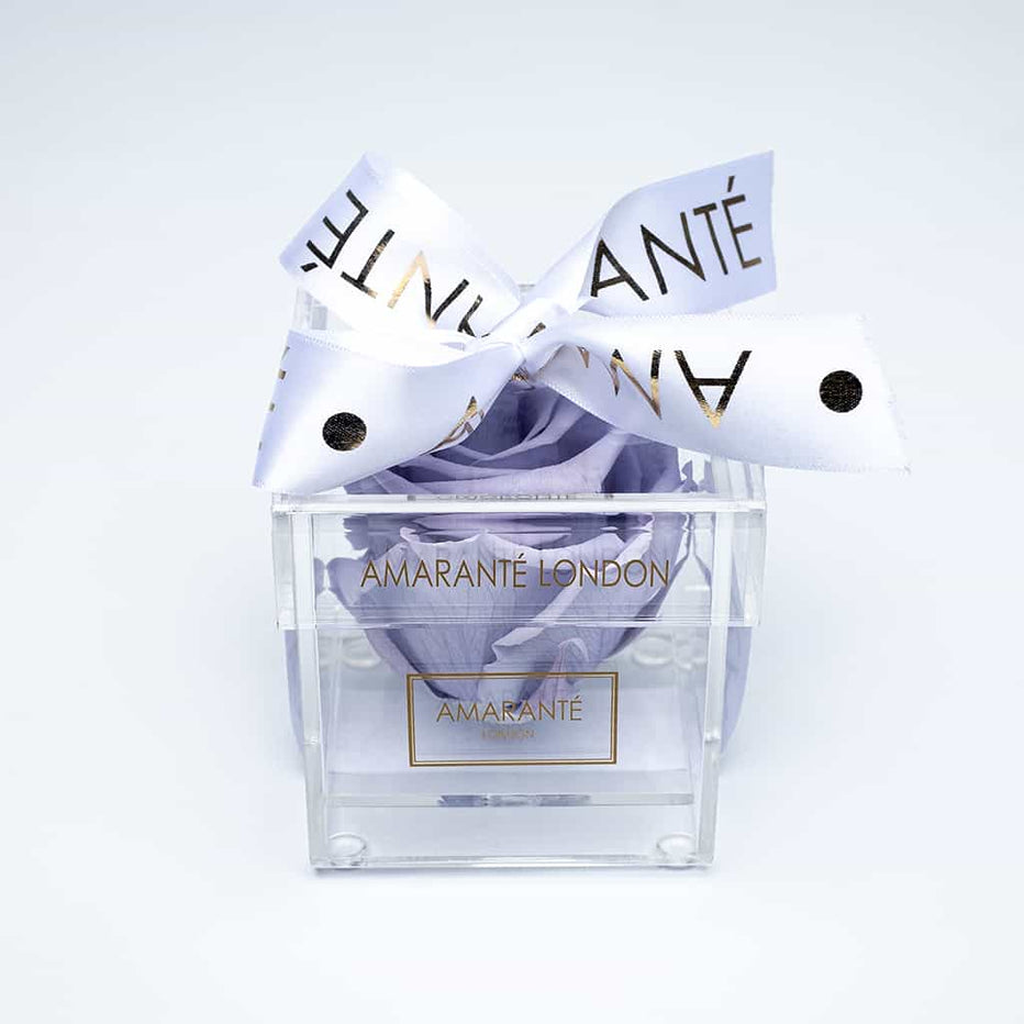 Single Infinity Rose in Elegant Transparent Acrylic Box - Amarante London