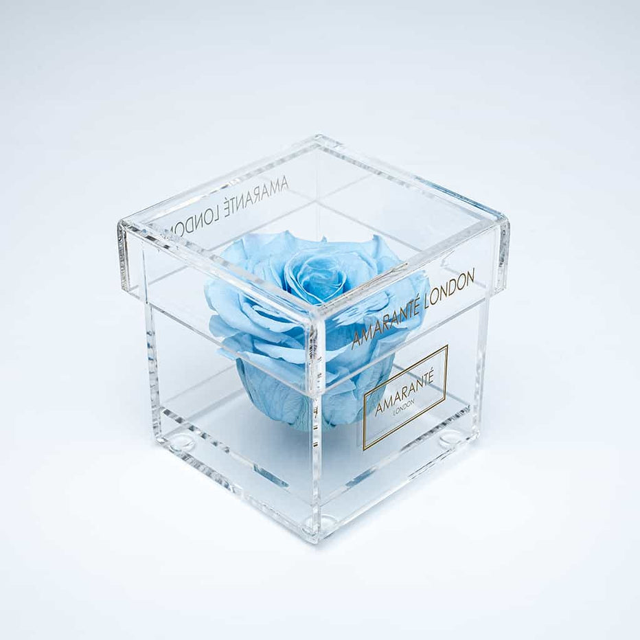 Single Infinity Rose in Elegant Transparent Acrylic Box - Amarante London
