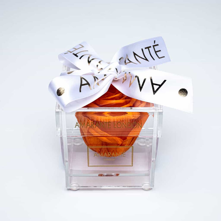 Single Infinity Rose in Elegant Transparent Acrylic Box - Amarante London