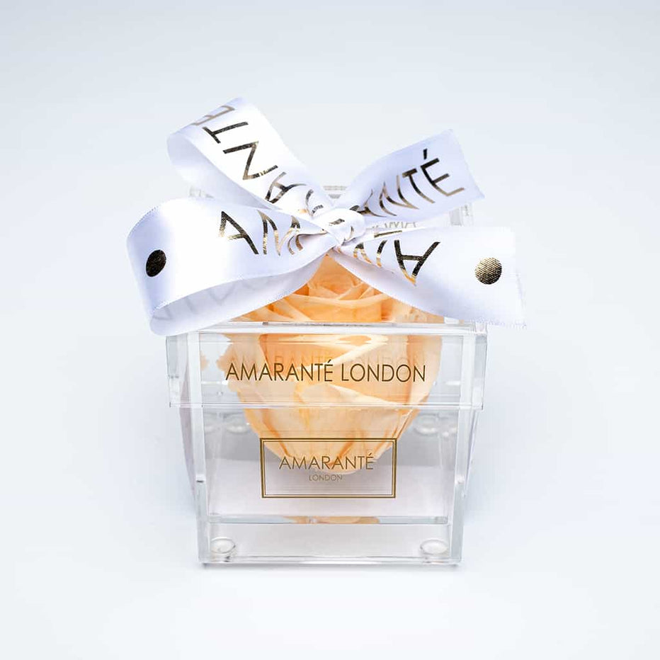 Single Infinity Rose in Elegant Transparent Acrylic Box - Amarante London
