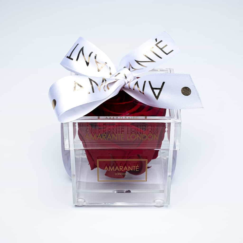 Single Infinity Rose in Elegant Transparent Acrylic Box - Amarante London