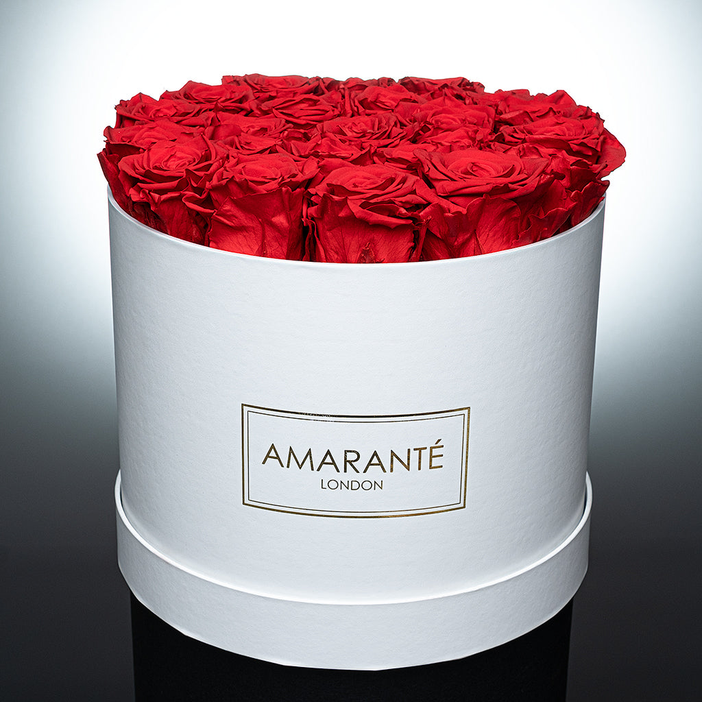 Preserved Flowers > Infinity Roses > White Round Large Matte Rose Box ...