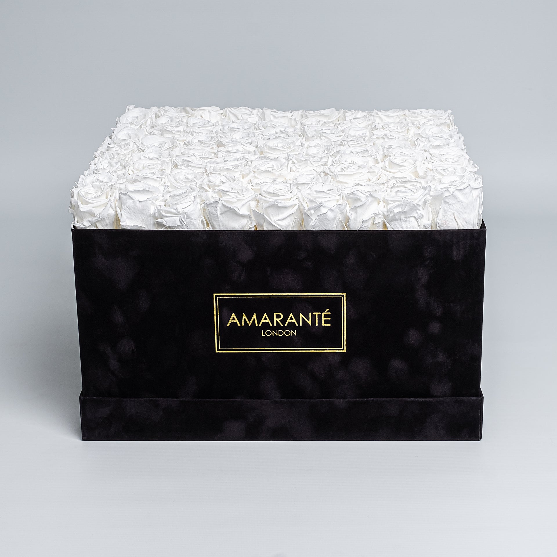 100 Roses in 14 colours, in a Deluxe Square Black Rose Box – Amarante ...